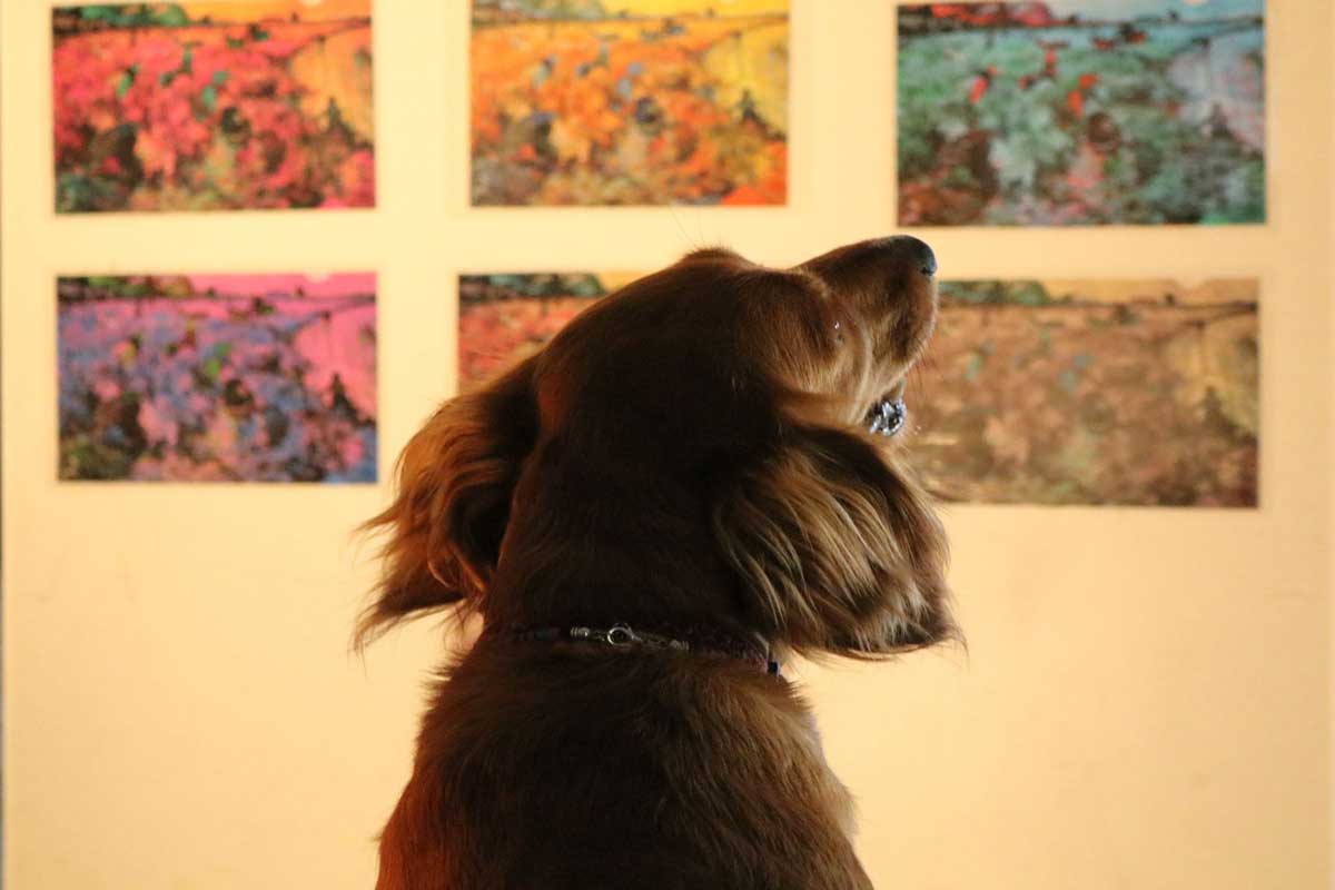 ΤΜΗΜΑ ΕΠΙΣΤΗΜΩΝ ΤΗΣ ΠΡΟΣΧΟΛΙΚΗΣ ΑΓΩΓΗΣ ΚΑΙ ΤΟΥ ΕΚΠΑΙΔΕΥΤΙΚΟΥ ΣΧΕΔΙΑΣΜΟΥ ...